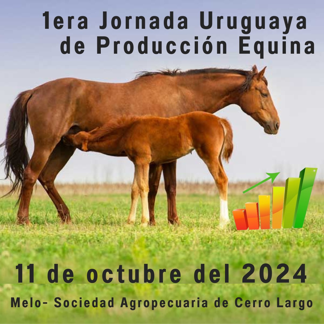 SOCIEDAD AGROPECUARIA DE CERRO LARGO